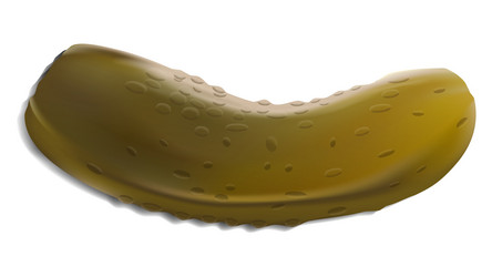 Cucumber Gherkin Background Vector Images (over 100)