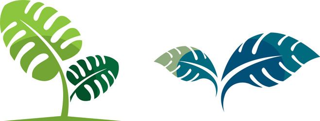 Taro Leaves Vector Images (51)