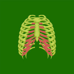 Flat shading style icon chest thorax Royalty Free Vector