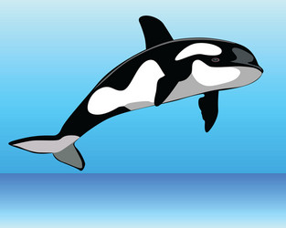 Killer whale in sea realistic composition Vector Image