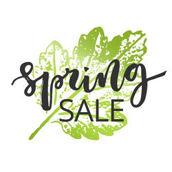 Spring word handwritten with elegant cursive Vector Image