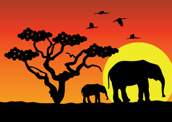 Elephants in africa Royalty Free Vector Image - VectorStock