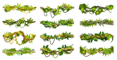Green Ivy Branches & Vines Royalty Free Vector Image