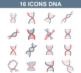 Double dna helix icons Royalty Free Vector Image