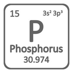 Phosphorus Element Symbol Vector Images (over 510)