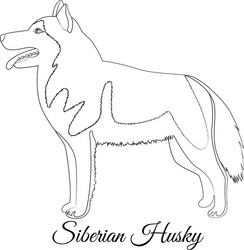 Husky Outline Vector Images (over 900)
