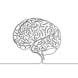 Brain Line Drawing Top