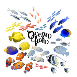 Fish Vector Images (over 380,000)