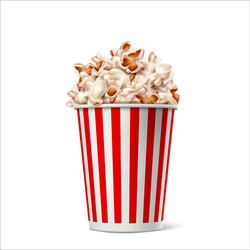 Empty Popcorn Bucket Vector Images (over 170)