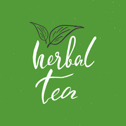 Herbal tea lettering handwritten sign hand drawn Vector Image