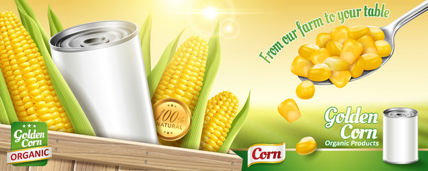 Sweet corn ads with blank tin can Royalty Free Vector Image