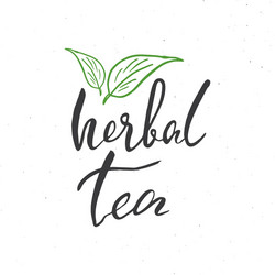 Herbal tea lettering handwritten sign hand drawn Vector Image