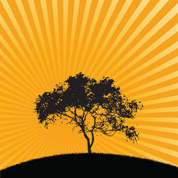 Oak tree with a banner Royalty Free Vector Image