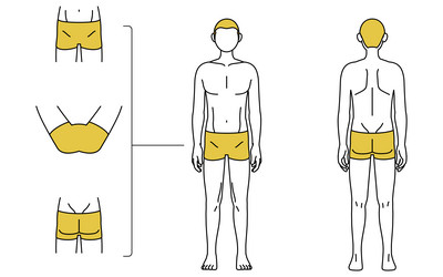 Parts Body Groin Vector Images (98)