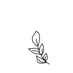 Leaves branch line art Royalty Free Vector Image