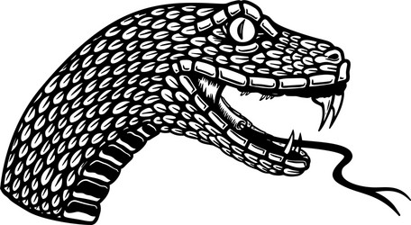 Snake Tongue Vector Images (over 2,100)