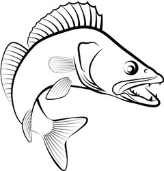 Walleye Outline Vector Images (65)