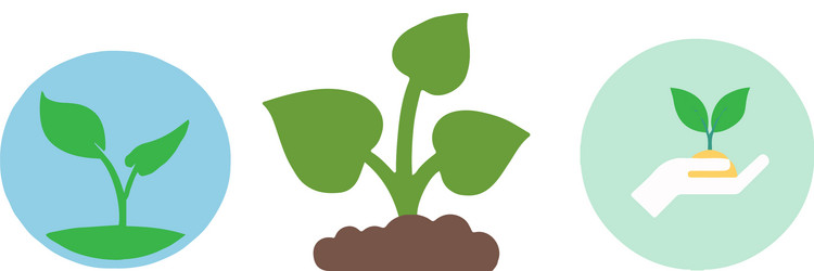 Seedling icon on white background Royalty Free Vector Image