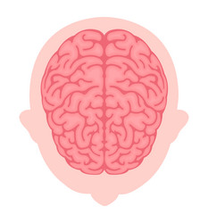 Brainstem Vector Images (over 230)