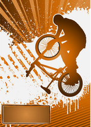 Bmx poster Royalty Free Vector Image - VectorStock