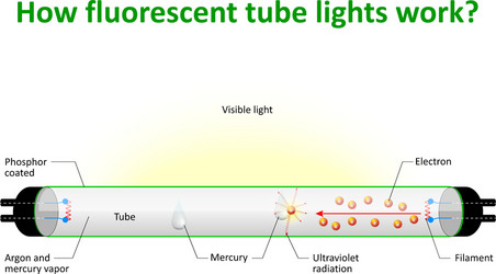 Fluorescent Tube Vector Images (over 10,000)
