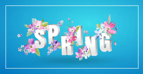 Spring flowers Royalty Free Vector Image - VectorStock