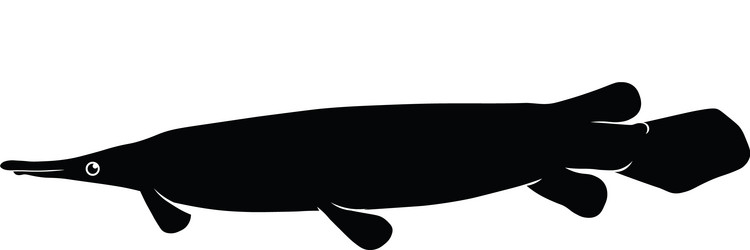 Gar Vector Images (over 150)