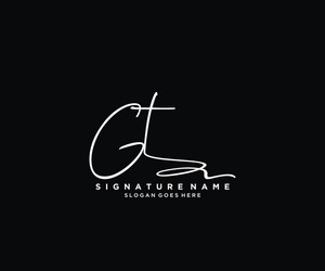 Letter gt signature logo template Royalty Free Vector Image