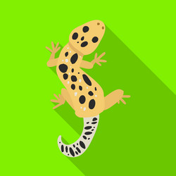 Lizard Leopard Gecko Vector Images (over 170)