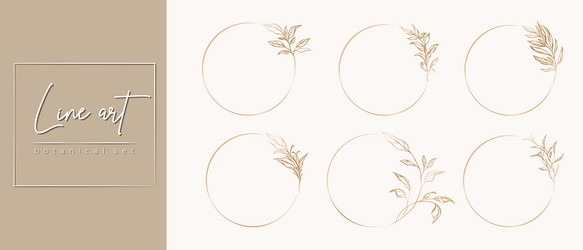 Botanical golden circle frame set hand drawn Vector Image