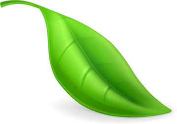 Leaf Vector Images (over 2.1 million)