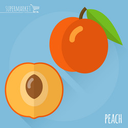 Orange peach icon Royalty Free Vector Image - VectorStock