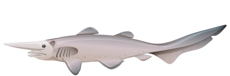 Deep sea creatures collection Royalty Free Vector Image