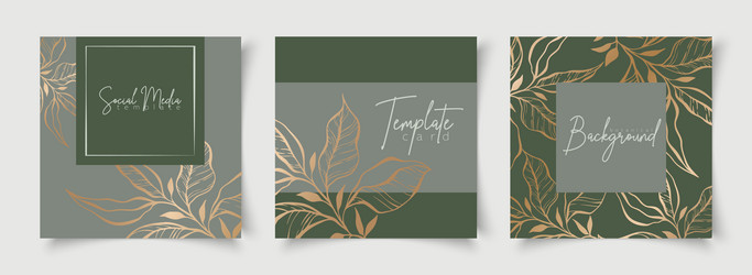 Botanical golden circle frame set Royalty Free Vector Image