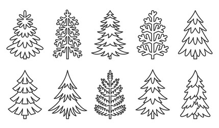Winter branch leaf spruce berry black line set Vector Image