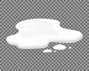 Milk spill on a transparent background puddle Vector Image