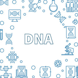Dna square or frame in thin Royalty Free Vector Image