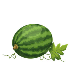 Watermelon Vector Images (over 71,000)