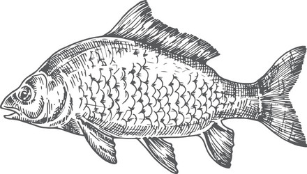 Mirror Vector Images (over 110,000)