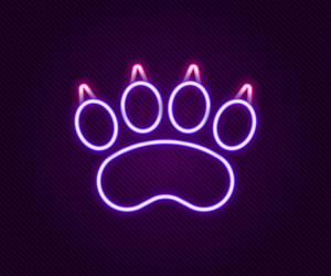 Purple Bear Vector Images (over 1,100)