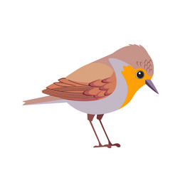 Robin Red Breast Vector Images (64)