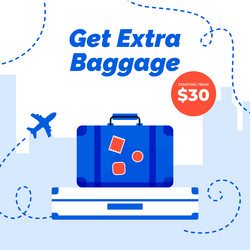 Hand drawn airline company post Royalty Free Vector Image