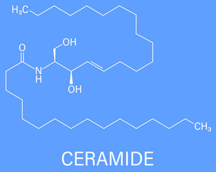Ceramide molecule skeletal formula Royalty Free Vector Image
