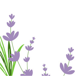 Lavanda Vector Images (over 190)