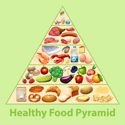 Healthy food pyramid chart Royalty Free Vector Image
