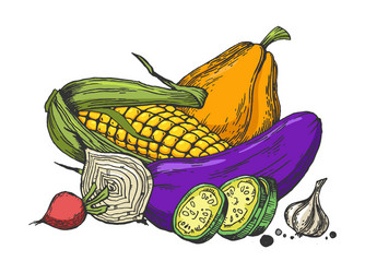 Still life petals esoteric plants wall art print Vector Image