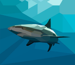 Polygon Shark Vector Images (over 210)