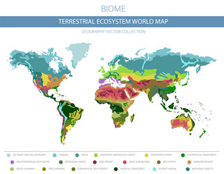 Map with world climate zones Royalty Free Vector Image
