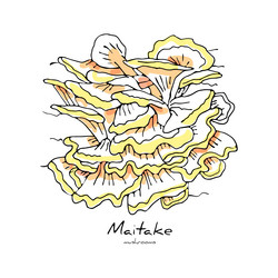 Mycelium Vector Images (over 1,200)