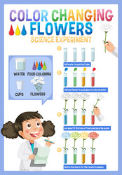 Color changing flowers science experiment Vector Image